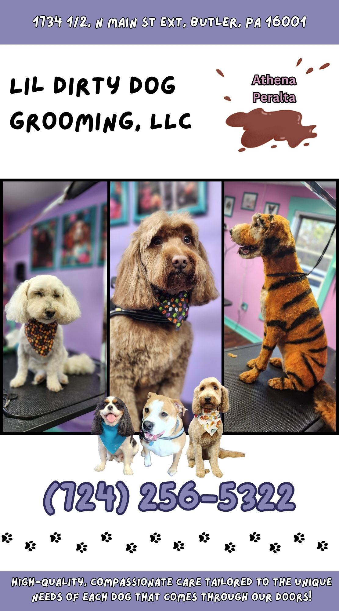 Lil Dirty Dog Grooming – Word of Mouth Products, Inc.